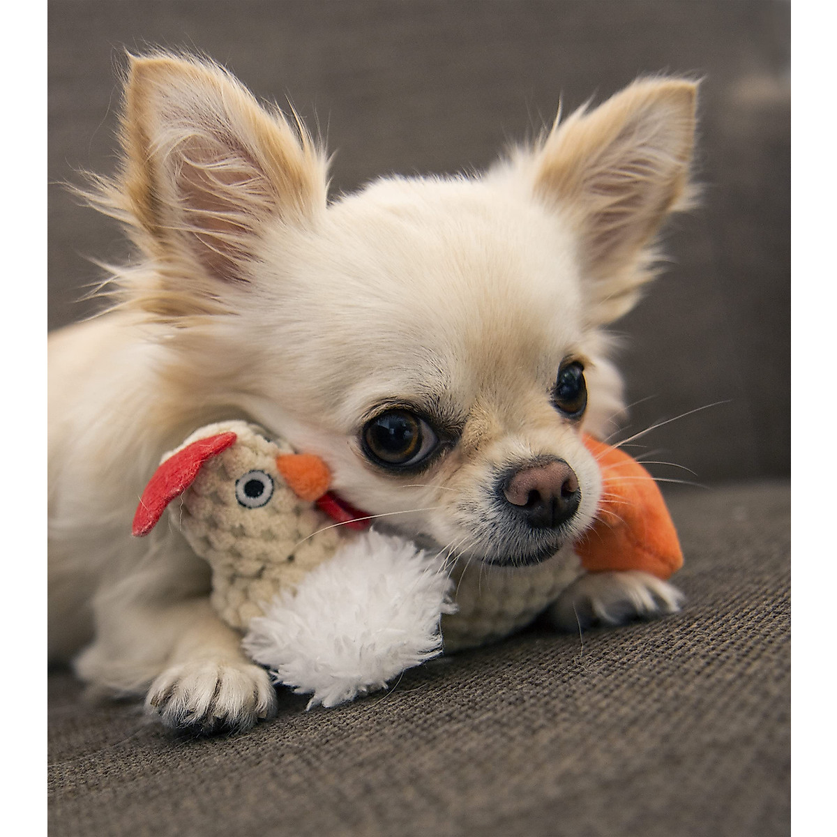 goDog Checkers Just For Me Fat Rooster Squeaky Plush Dog Toy, Chew Guard Technology - White, Mini