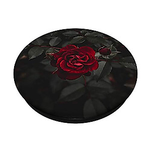 Red Rose PopSockets Swappable PopGrip