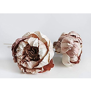 10 Rare Natural Pink Peony 1.5" Sola Flower Reed Diffuser for Home Fragrance Oil by Plawanature.