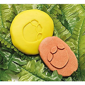 Yellow Door Let's Investigate Dinosaur Footprints