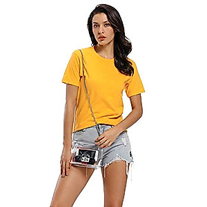 Clear Purse Crossbody Bag， Stadium Approved for Concerts Sports Events Cute for Sports Concert Prom Party Present(Silver)