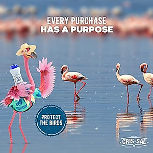 Cris-Sal Gourmet Fine Cristal Sea Salt, Full Flavor Premium Natural Grain, Great for Cooking, Table Seasoning Recipes, Pantry Friendly, 17.63 Oz