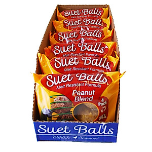 Wildlife Sciences Suet Balls 24 Pack, 6 Individually Wrapped Packs of 4 Bird Suet Balls (Peanut Blend)