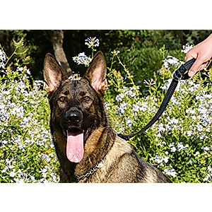 Baby Stroller Wheelchair Safety Wrist Strap or Large Dog Leash, Second Layer Security for Retractable Dog Leash, Black with Blue Stitching