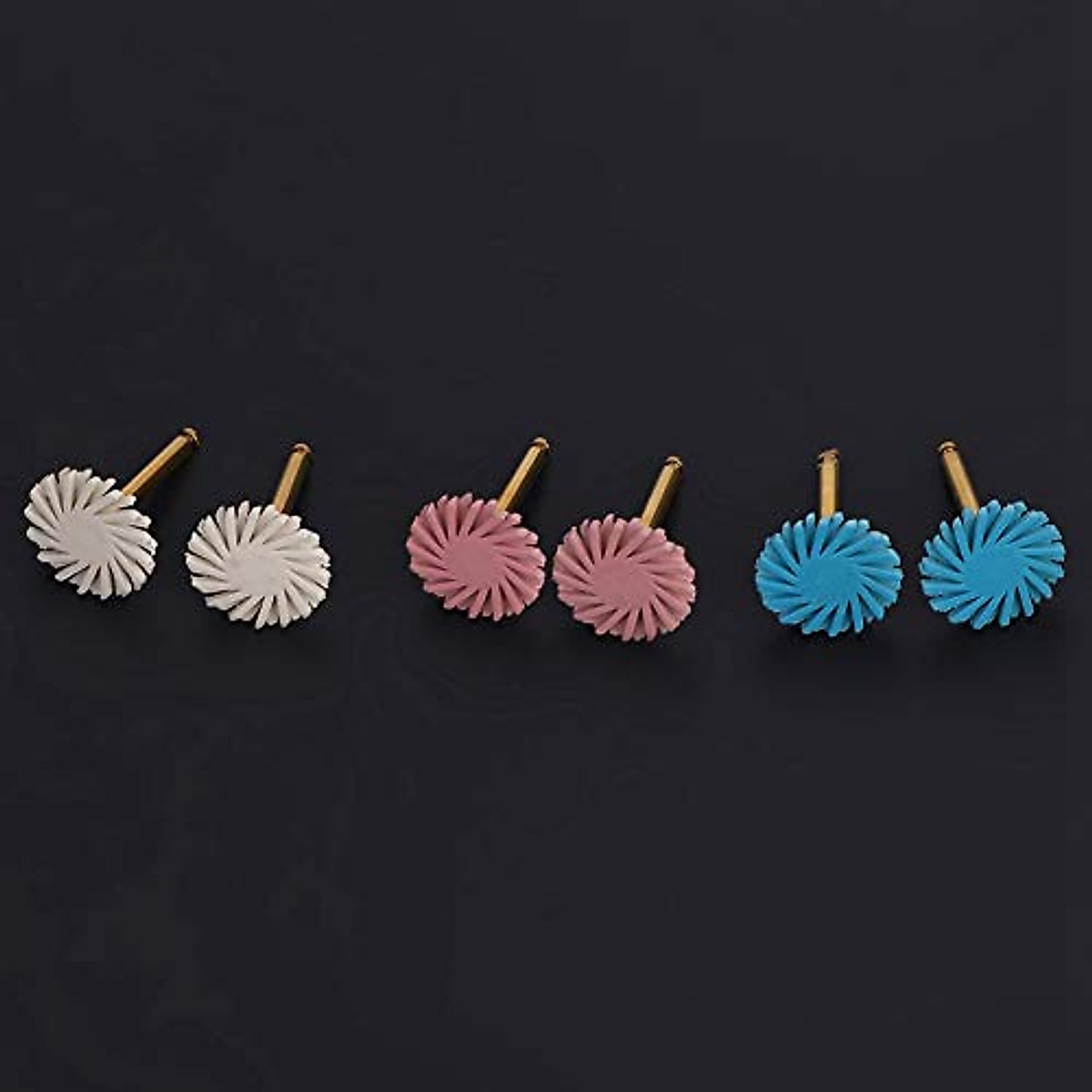 YWBL-WH 6 Pcs Mixed Dental Composite Resin Polishing Disc Kit Spiral Brush Burs with Plastic Storage Box