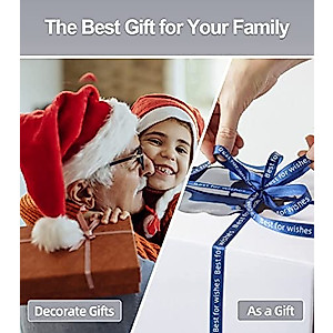 Mandizza Thermal Printer, Label Maker Machine Tape Included D10 Portable Bluetooth Connection Label Printer Multiple Templates Available for Phone Pad Easy to Use Office Home Organization