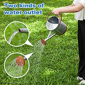 8pints 1 Gallon Watering Can for Outdoor Plants - Metal Watering Can for Outdoor Plants House Plant Watering Can with Sprinkle Head Perfect Watering Can Indoor Plants for Outdoor and Indoor Gardening