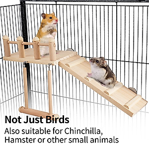 FrgKbTm Bird Perches Platform Swing with Climbing Ladder, Parakeet Cage Accessories Wooden Playing Gyms Exercise Sturdy for Small Birds