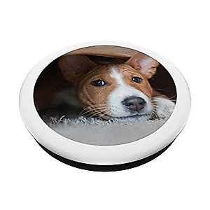 Cute Basenji Face Dog Breed Men Women Boy Girl Lover Gift PopSockets PopGrip: Swappable Grip for Phones & Tablets