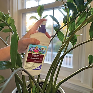 Bonide Captain Jack's 12 oz Neem Max Ready-to-Use Spray for Houseplants Indoors