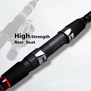 Fiblink Surf Spinning Fishing Rod 2-Piece Carbon Travel Fishing Rod (Length: 10')