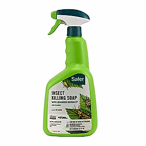 Safer Brand 5110-6 Insect Killing Soap, 32 Oz.