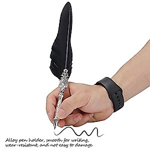 Hztyyier European Vintage Quill Pen Fountain Pen Sign Pen Calligraphy Writing Quill Dip Pen Set in Gift Storage Box(Black) School Supplies