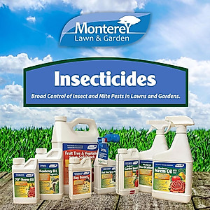 Monterey Lawn & Garden Products MBR5015, 1 Gallon Concentrate Monterey Take Down Garden Spray, Pint