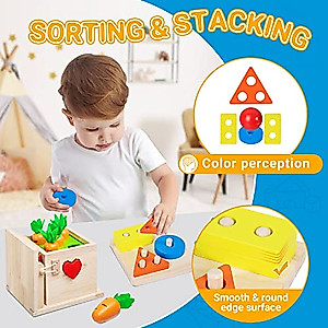 6-in-1 Wooden Play Kit Montessori Toy, Object Permanence Box, Coin Box, Carrot Harvest, Catch Worm, Shape Sorter - Toddler Learning Toy for Kid Age 1, 2, 3 Year Old, Girl boy Gift for Baby 6-12 Month