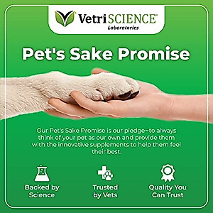 VetriScience Derma Strength Healthy Skin and Coat Chews with Omega 3, 6 and 9 for Dogs, 70 Chews - Can Reduce Shedding and Support Skin Health