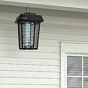 Insect Killer, 40 Watt