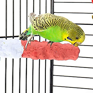 POPETPOP Bird Parrot Stand Perches, Cuttlebone Calcium Perch Standing Pole Bird Perch, Bird Toys for Parrots - Bird Cage Accessories