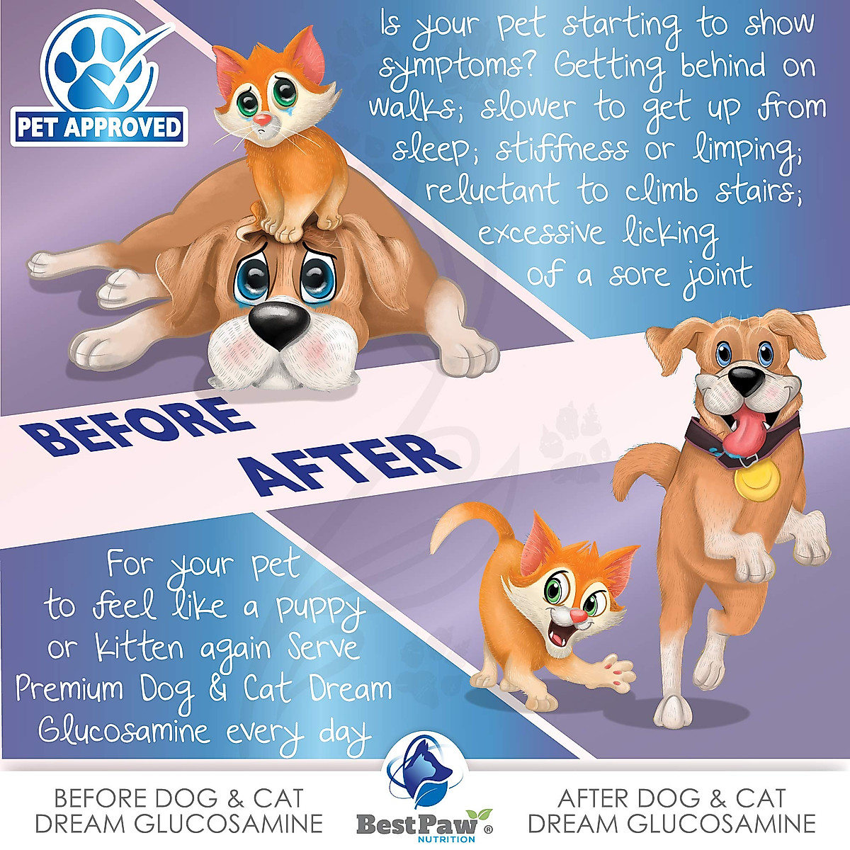 Best Paw Nutrition - Unflavored Liquid Glucosamine for Dogs & Cats - Chondroitin, MSM, Hyaluronic Acid - Dog Arthritis Home Remedy - Joint Supplement for Hip & Joint Pain Relief Pets Love - 16oz