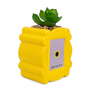 BoxLunch Friends Peephole Frame Faux Succulent Planter