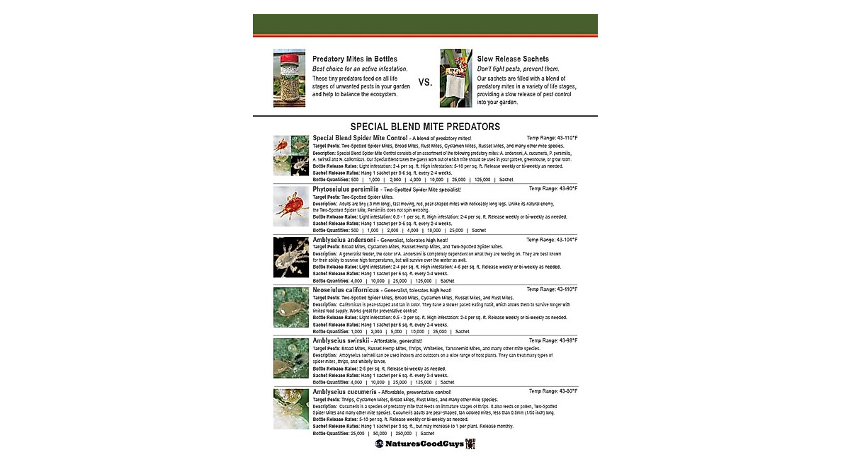 25,000 Predatory Mite Blend for Pest Control | Nature's Good Guys