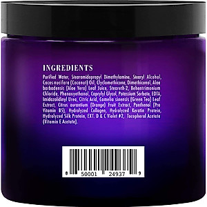 Botanic Hearth Purple Hair Mask - for Blonde, Silver and Gray Hair, Sulfate & Paraben Free - 8 fl oz