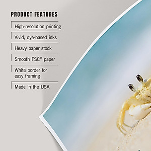 Lantern Press Bethany Beach, Delaware, Crab on Beach (12x18 Art Print, Travel Poster Wall Decor)