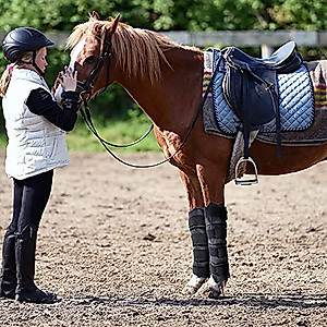 WORLD-BIO Horse Ice Leg Wraps Set Of 2, Ice Pack Cooling Wrap for Horse Injuries, Therapy Full Leg Ice Boot Cold Pack with Flexible Straps for Hock, Ankle, Knee, Legs and Hooves, 16.9'' x 16.1'' Black