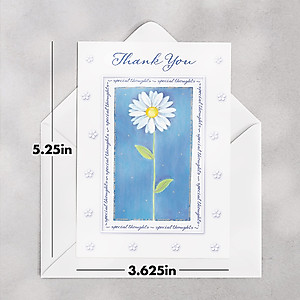Designer Greetings Thank You Cards, Special Thoughts Meant So Much Message for Any Occasion (8 Daisy Thank-You Notes and Envelopes)