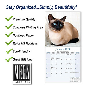 2023 2024 Siamese Cats Calendar - Cute Animal Monthly Wall Calendar - 12 x 24 Open - Thick No-Bleed Paper - Giftable - Academic Teacher's Planner Calendar Organizing & Planning