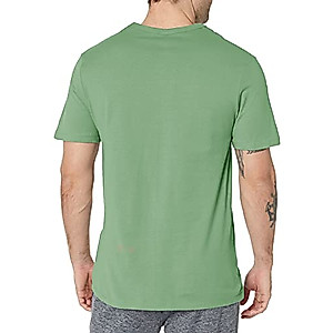 Champion T, 100% Cotton Shirt for Men, Lightweight Tee, Multiple Graphics, Native Fern Green-Y08254, Small