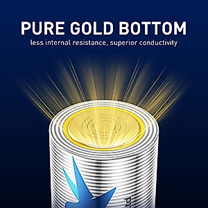 NECTIUM Superior Performance AA Alkaline Pure-Gold-Bottom IoT Batteries (48 Count), Ultra Power, Long Lasting for IoT Devices and Smart Lock