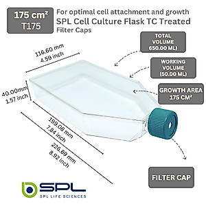 SPL Cell Culture Flask 175 cm2 (T175) Filter Cap, Treated, Sterile 40/Case