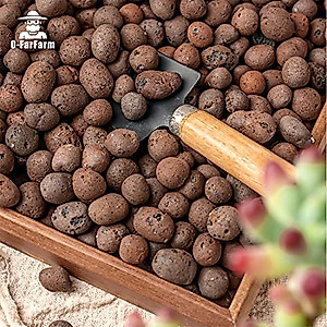 O-FarFarm Clay Pebbles for Indoor Plants, Hydroponics Supplies Clay Balls for Hydroponic Growing, 3 Sizes to Choose for Orchids, Hydroponics, Aquaculture(1qt, 10-30mm)