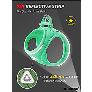 JC HOUSE Small Dog Harness, No Pull Lightweight Step-in Dog Vest, No Choke Escape Proof Reflective Soft Air Mesh Harness for Puppies & Cats Walking, Running Training and Daily Use, Green, S (M3S)