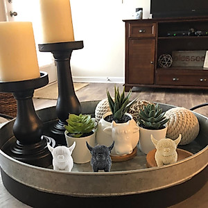 Hand Prop for Halloween Party Birthday Gift