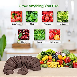 60 Pack Replacement Grow Sponges, Seed Pod Kit Seed Starter Pods Hydroponics Sponges Grow Sponges for Hydroponics Root Growth Sponges Refill Pods for Hydroponic Growing System Indoor Garden, Square