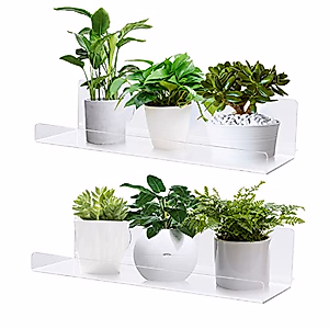 Window Shelf for Plants 12 Inch 2 Pack, Suction Cup Clear Acrylic Indoor Plant Shelf Window Ledge Garden- Window Sill Extender for Micro Greens Kit, Seed Starter Pots, Planters