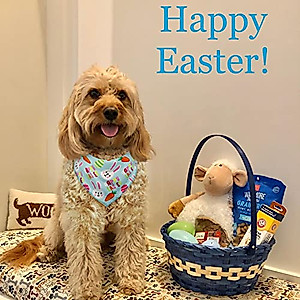 Easter Dog Bandana, Bunny and Carrot Bandanas for Dogs, Spring Puppy Scarf for Small Medium Large Dogs