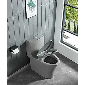 One Piece Toilet Dual Flush Elongated Standard Modern Toilet 1.1/1.6 GPF Soft Close Seat Save Water Powerful & Quiet - Gray, 27.5"D x 14"W x 28.6"H