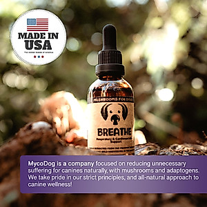 MycoDog Clarity Mushroom Extract & Adaptogen Tincture for Canines - Mushroom & Ashwagandha Supplements for Nervous, Mental, & Emotional Support - Reishi Mushroom, Cordyceps, & Lions Mane Supplement