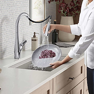 Kohler Lir Pulldown Kitchen Faucet