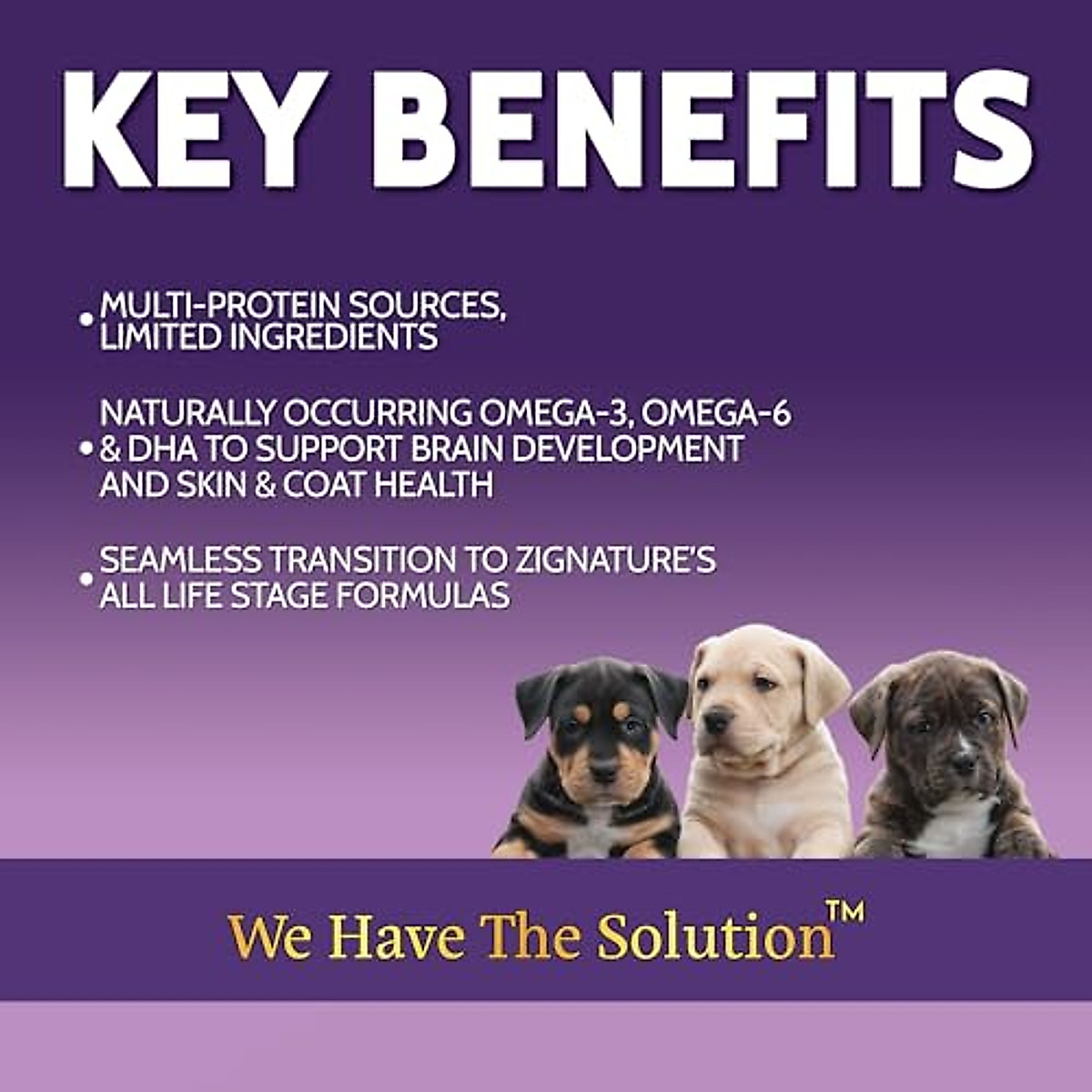 Zignature Puppy Formula Wet Dog Food 13oz can, Case of 12