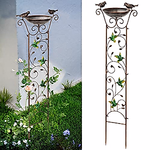 SUNNYPARK Bird Bath with Trellis Outdoor, Antique Garden Iron Plant Trellis with Decorative Hummingbirds Detachable Bird Bath Bowl Metal Potted Plant Support for Climbing Flowers