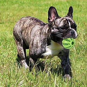 Dog Ball Chew Puppy (2 Pack), for Aggressive Chewers, Interactive Puppy Dog Toy, Puzzle Teething Toy, Essential Brain Stimulating, Dog Treat Ball Small Breed