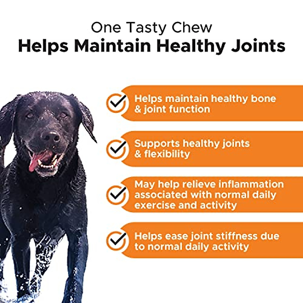 PetHonesty Hip & Joint Health - Dog Joint Supplement Support for Dogs with Glucosamine Chondroitin, MSM, Turmeric - Glucosamine for Dogs Soft Chews - Advanced Pet Joint Support and Mobility - (90 ct)