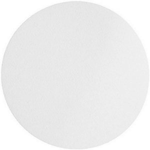 Omicron 134047 Borosilicate Glass Fiber Binder Free Filter,0.7 Micron, 47mm (Pack of 100) (Similar to 1825-047 GF/F)