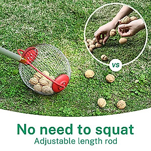 Cooltop Medium Nut Gatherer, Nut Picker Rolling Acorn Picker Upper,Adjustable Lightweight Outdoor Manual Tools,Collect Walnuts,Acorns,Hickory Nuts,Golf with 1Gallon(Medium)