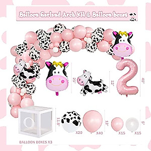 126 PCs Moo Moo Im Two Birthday Decorations Girl, Fiesec Cow 2nd Birthday Party Supplies Two Years Old Backdrop Balloon Garland Banner Cake Cupcake Toppers Boxes Cutout Crown Poster Pink White Black