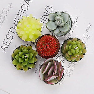 LJQizn 6pcs Cactus Tealight Candles Handmade Delicate Succulent Cactus Candles Tea Lights Perfect for Birthday Party Wedding Spa Home Decor Gifts (6pcs Cactus Candles)